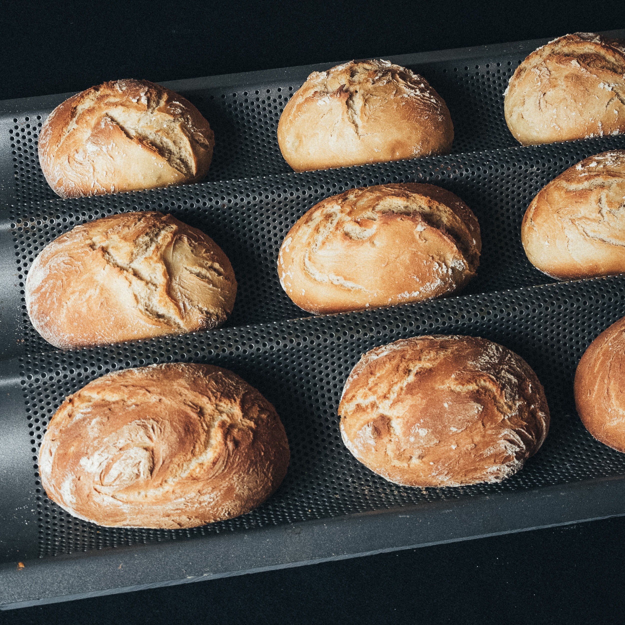 Wachauer - Eggenhof | Bio-Bergbauernhof